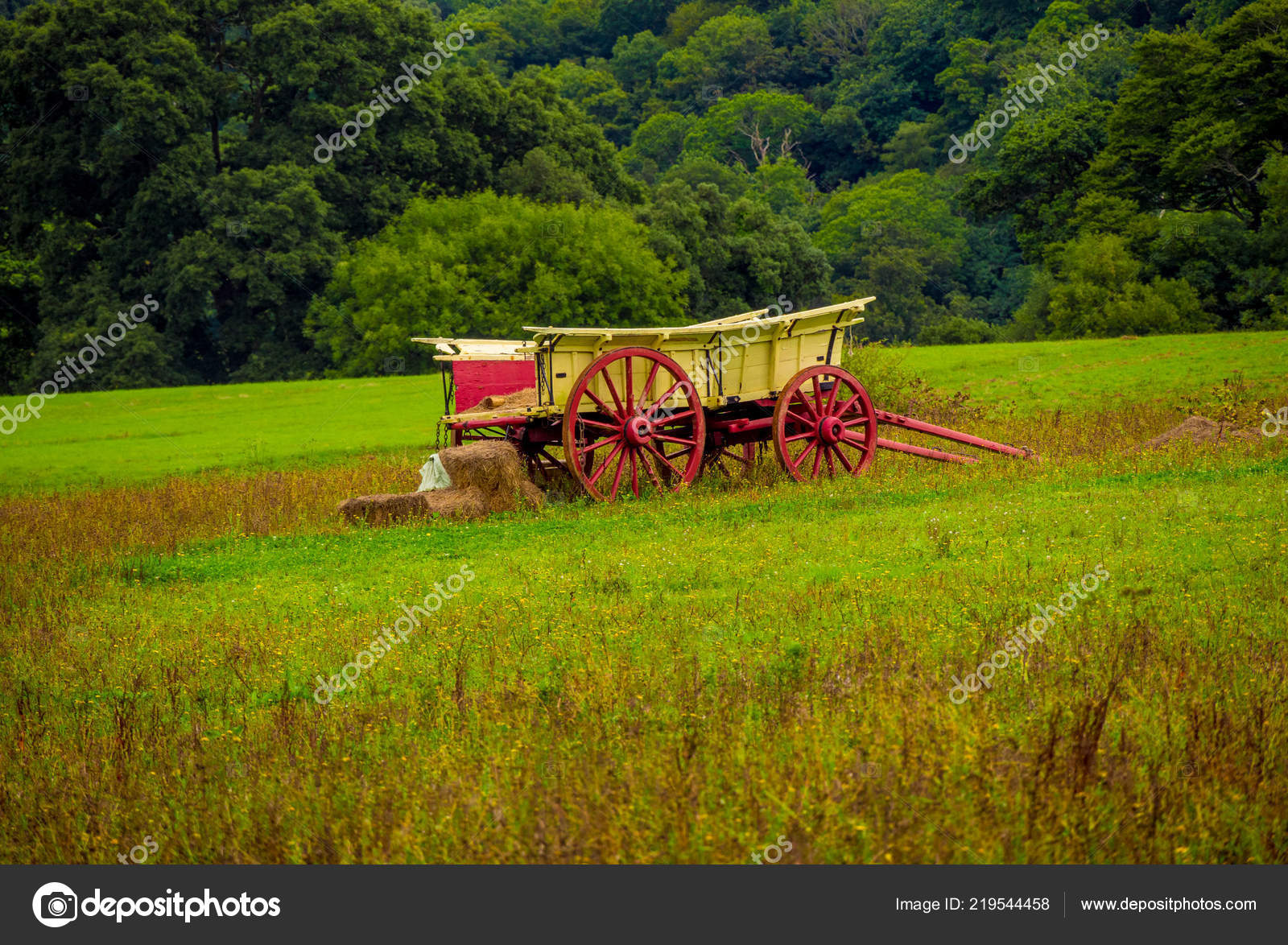 Old Carriage on a field — Stock Photo © 4kclips #219544458
