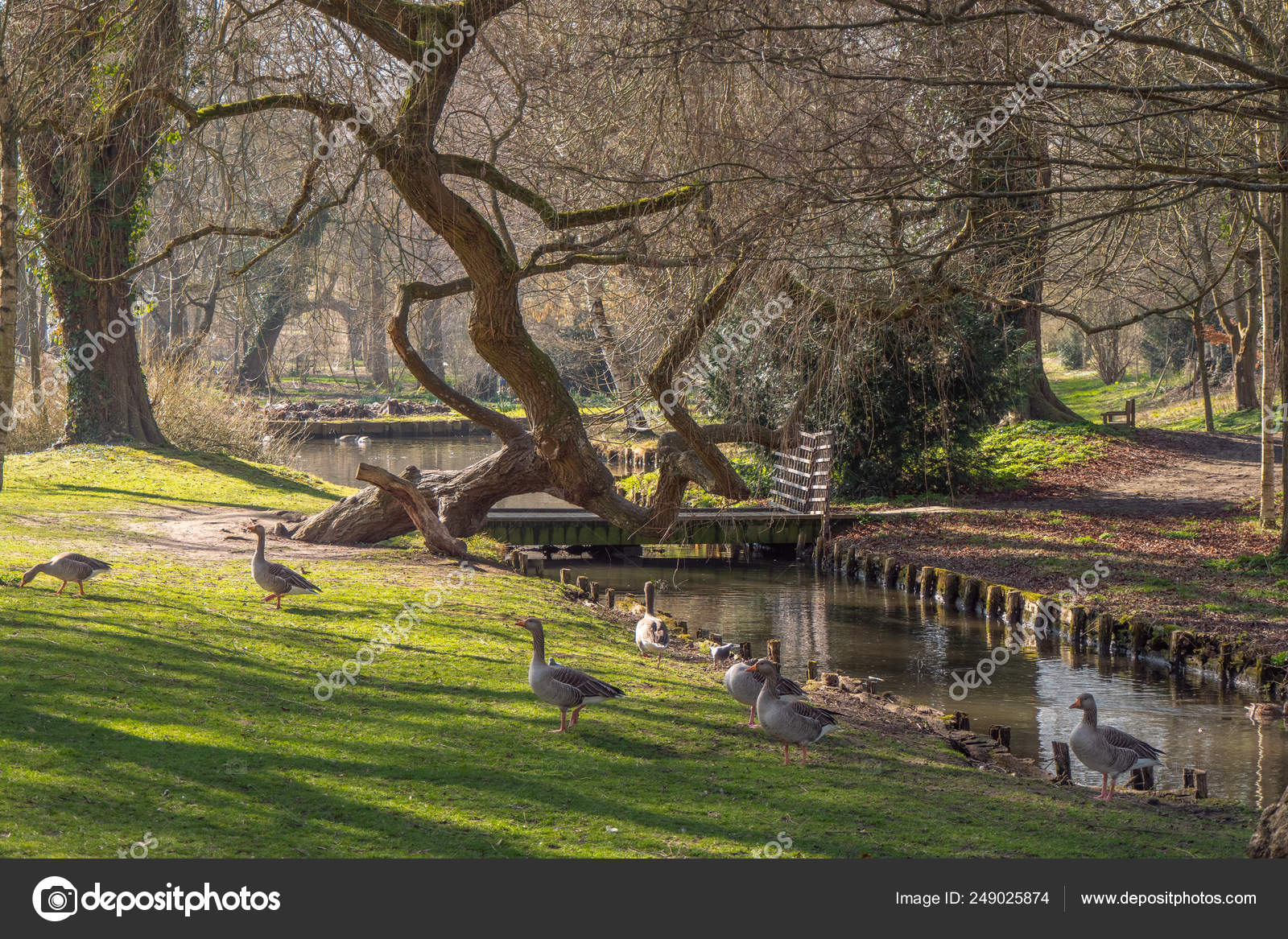 Hermosos Jardines Del Castillo Leeds Inglaterra Kent Inglaterra Febrero ...