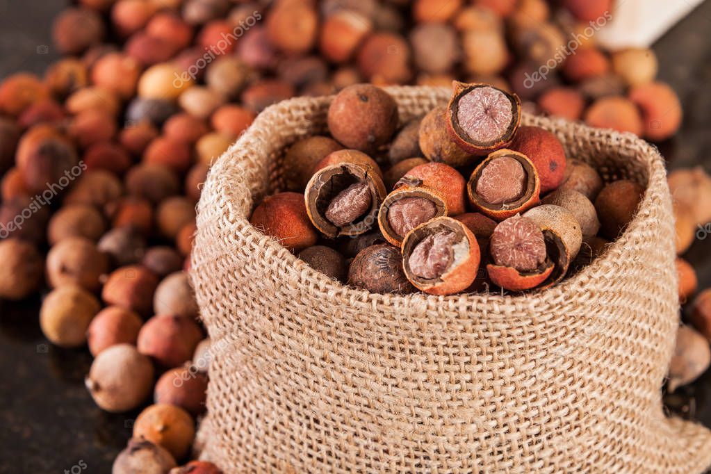 Frutas tropicales de Corozo - Bactris guineensis 2023