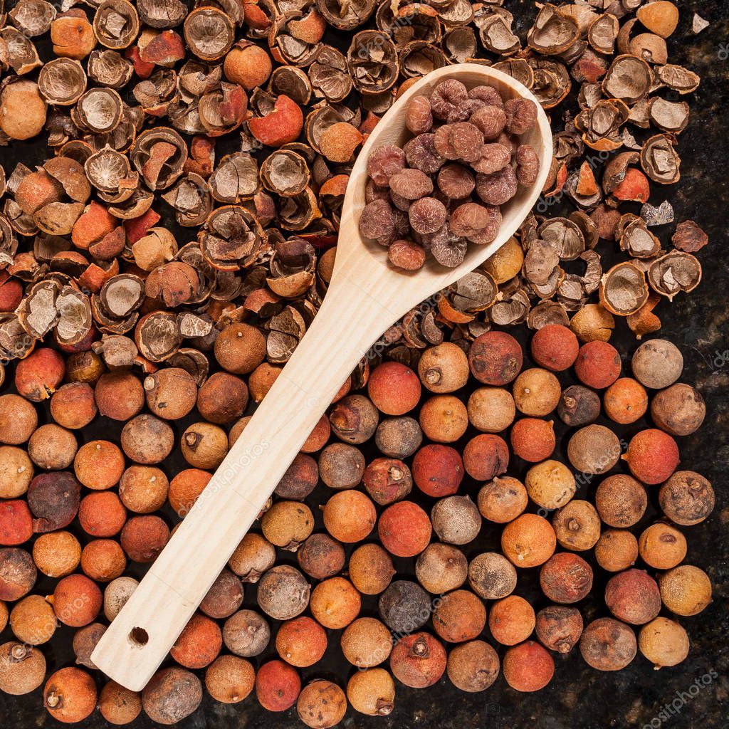 Frutas tropicales de Corozo - Bactris guineensis 2023