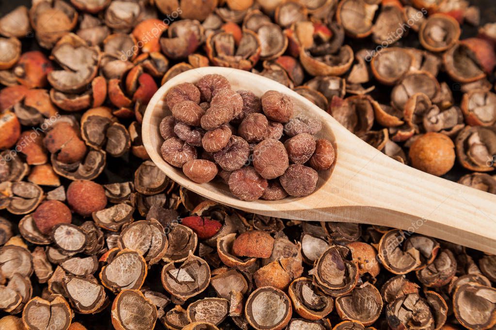 Frutas tropicales de Corozo - Bactris guineensis 2023