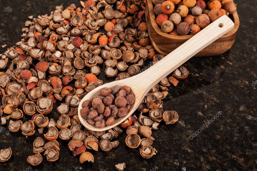 Frutas tropicales de Corozo - Bactris guineensis 2023