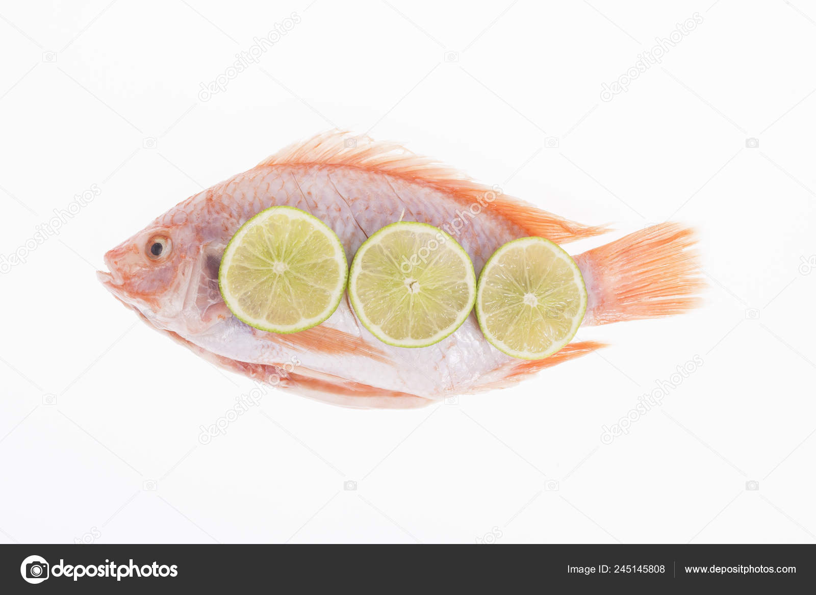 Fish Red Mojarra Red Tilapia White Background Stock Photo by ...