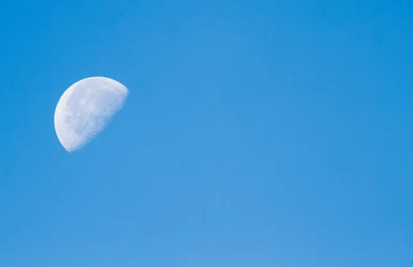 13,862 Half moon Stock Photos | Free & Royalty-free Half moon Images ...