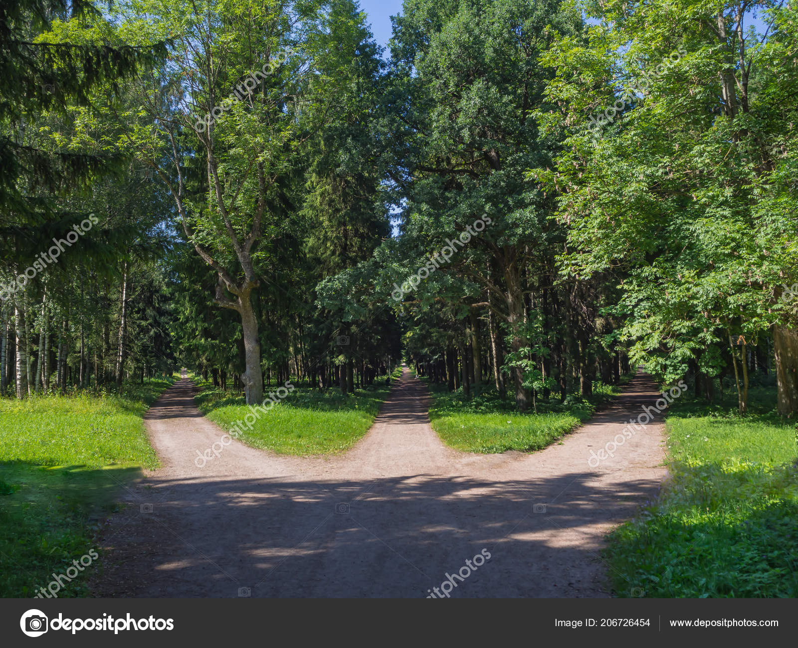 The junction, three forest roads converge into one. — Stock Photo ...