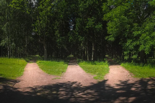 The junction, three forest roads converge into one. — Stock Photo ...