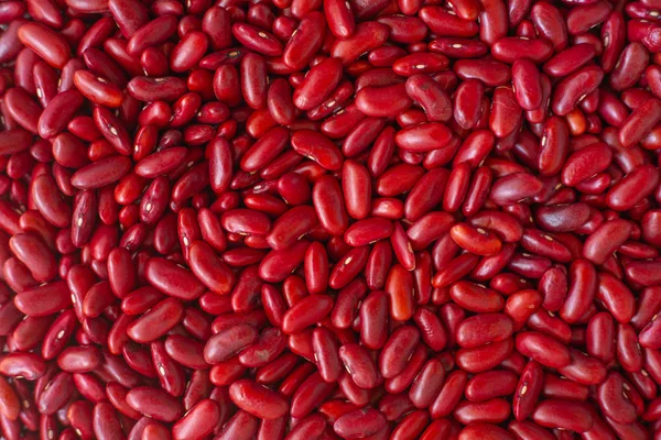 Frijol rojo fotos de stock, imágenes de Frijol rojo sin royalties ...