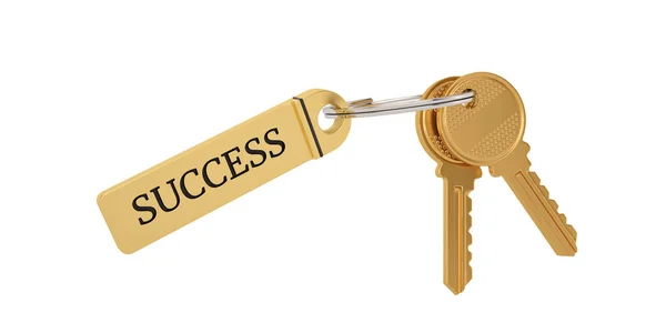 Key to success Stock Photos, Royalty Free Key to success Images ...