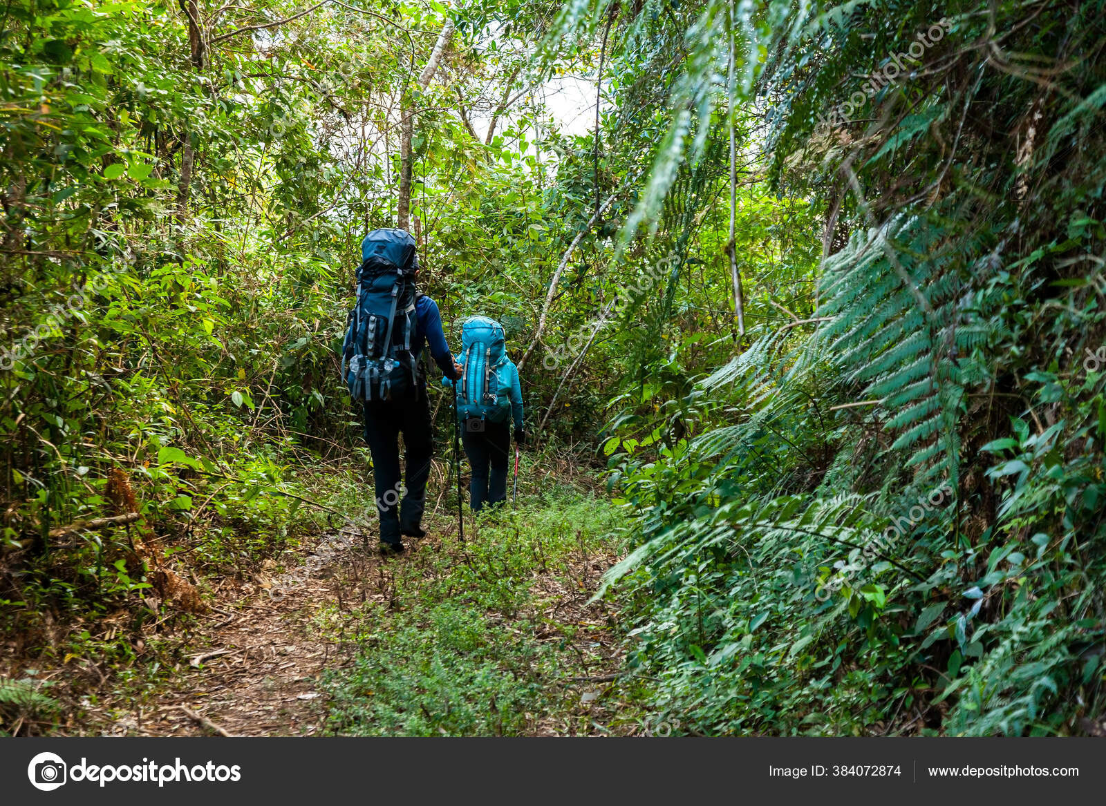 People Carring Large Backpacks Rainforest Trail Brazil — Stock Photo ...