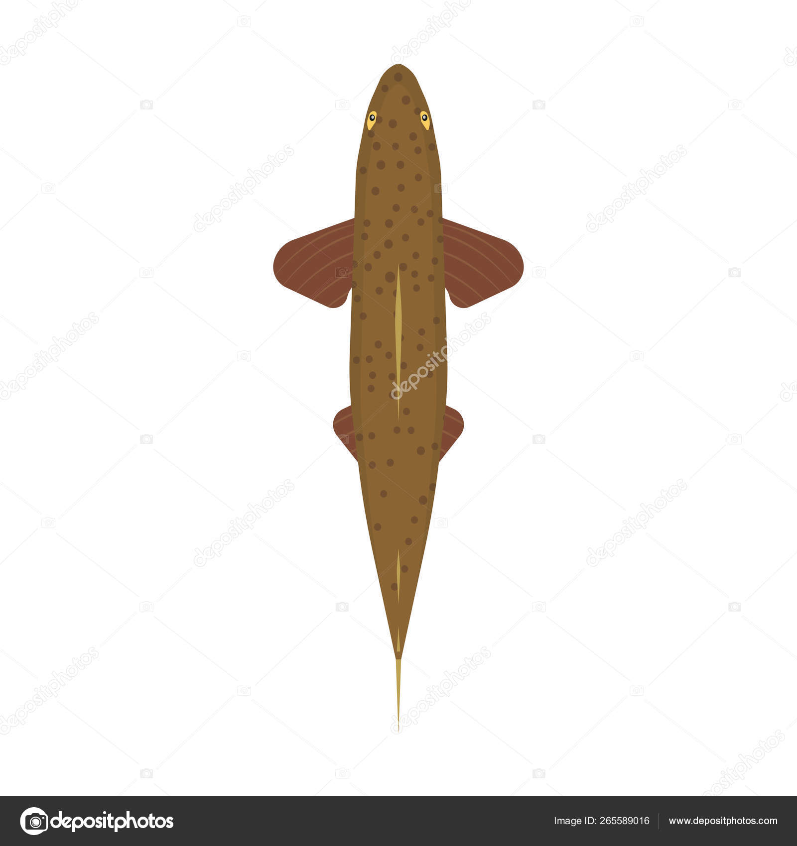 Trout fish above view meal animal sign vector icon. Water sea fo Stock ...