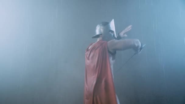 Muscular spartan in red cloak swinging blade. — Stock Video © serhii ...