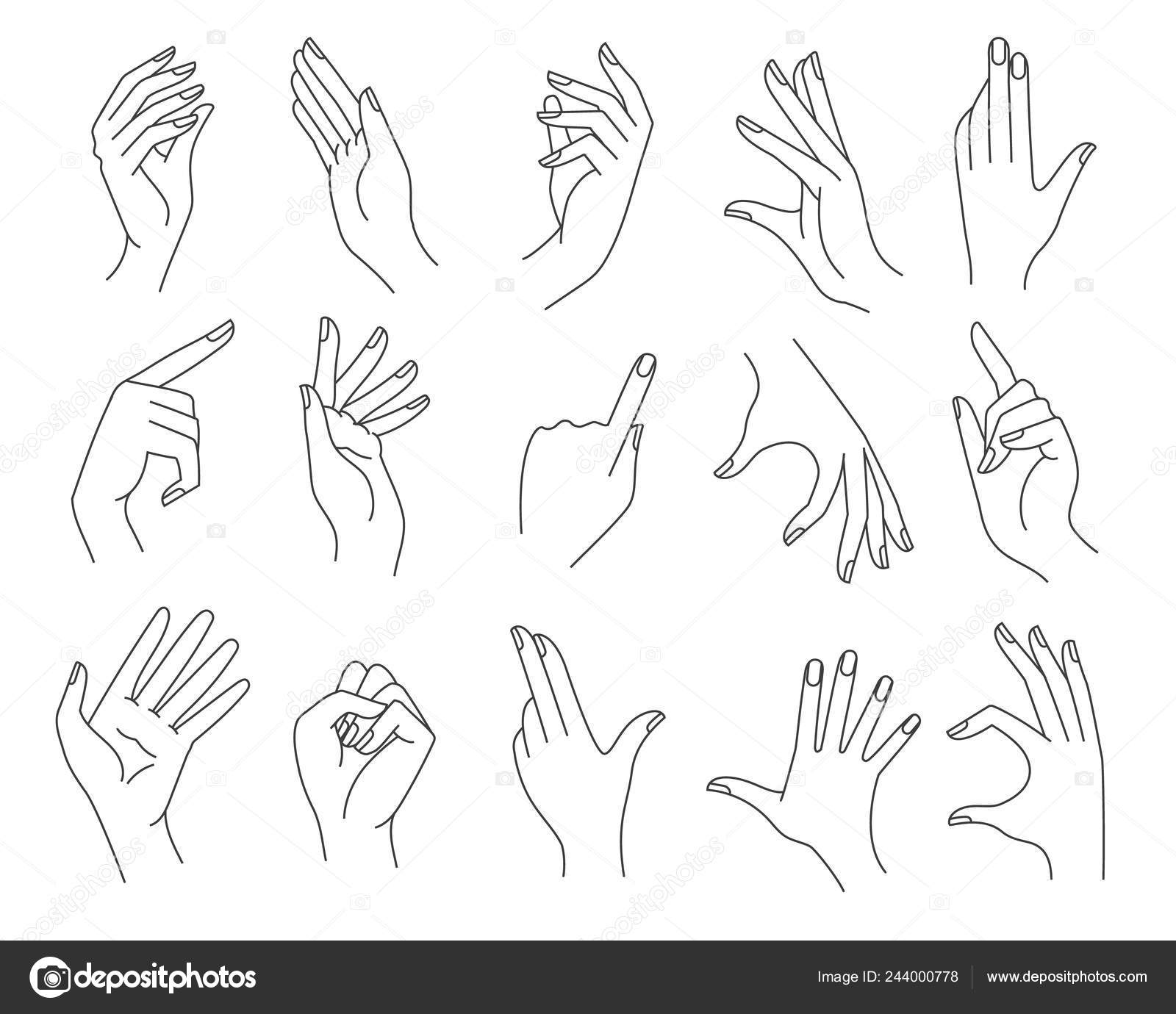 Line woman hands gestures Stock Vector by ©vectortatu 244000778