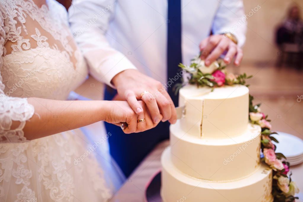 Una novia y un novio están cortando su pastel de bodas. Hermoso pastel. Nicel Light. concepto de ...