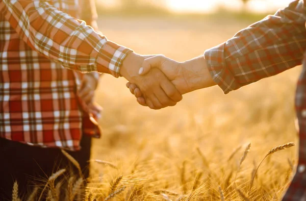 Farmer handshake Stock Photos, Royalty Free Farmer handshake Images ...