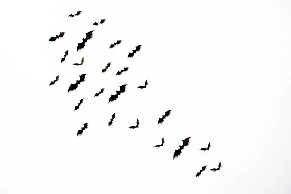 Flying Bats Group Isolated White Background Halloween Symbols — Stock ...