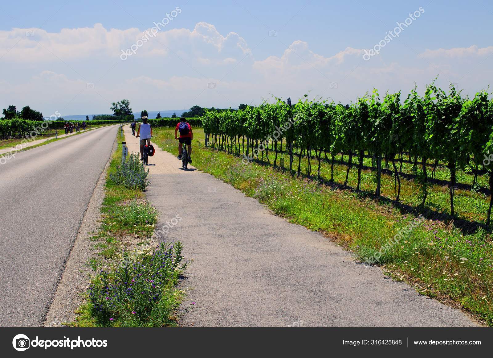 Cycle path facing Neusiedl lake Stock Photo by ©k.ruzickova.gmail.com ...