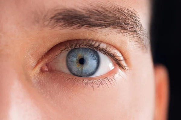 Fotos de Olho grande, Imagens de Olho grande sem royalties | Depositphotos