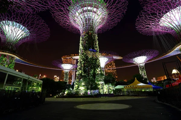 Singapore supertree Stock Photos, Royalty Free Singapore supertree ...