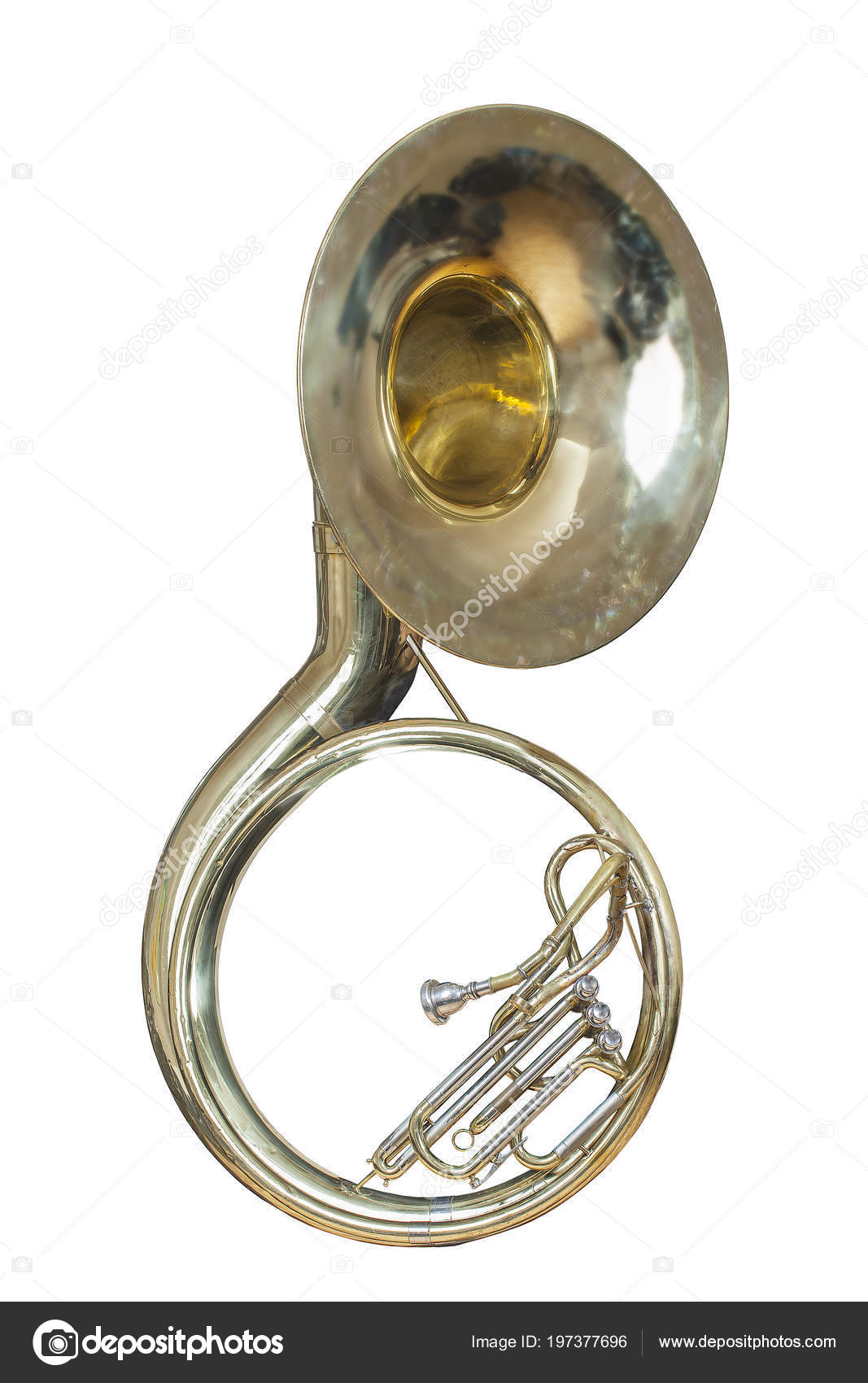 White Sousaphone