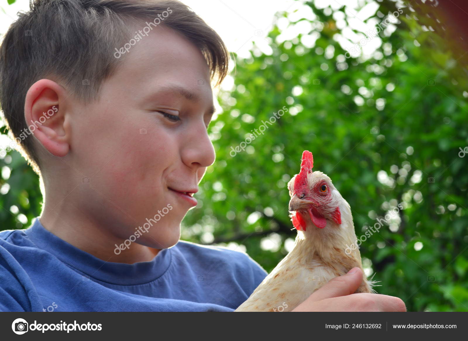 Boy Holds White Chicken His Hands Kisses Her — Stock Photo © andov ...