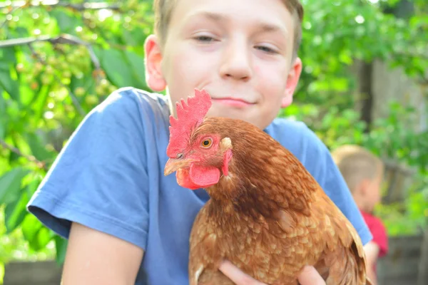 Farm boy with chickens Stock Photos, Royalty Free Farm boy with ...