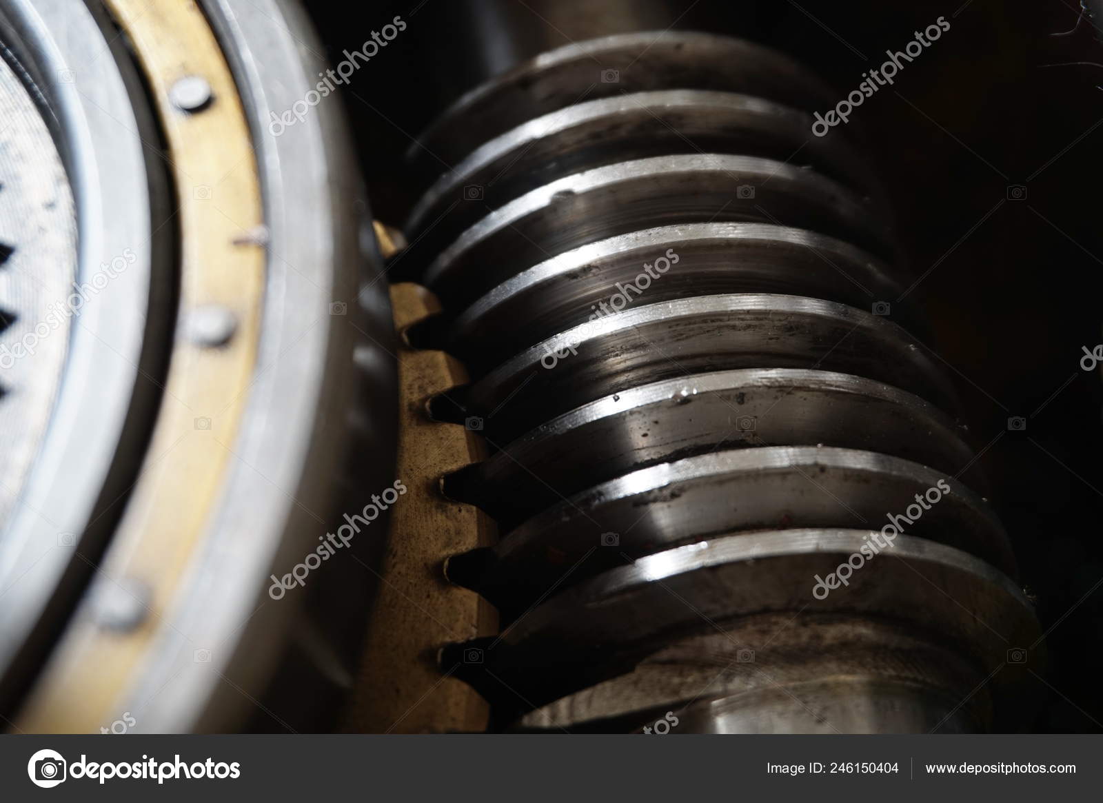 Disassembled Machine Reducer Screws Bearings Worm Shaft — Stock Photo ...