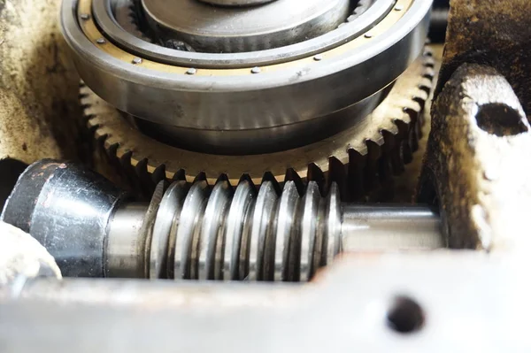 Disassembled machine with reducer, screws, bearings, worm shaft ...
