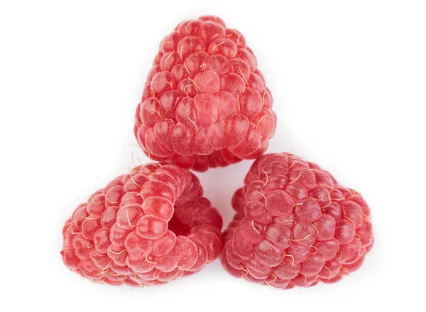 Belly button raspberry tickle time Stock Photos, Royalty Free Belly ...