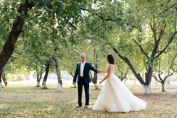 young bride and groom walking in a summer Park with green trees 1 ...