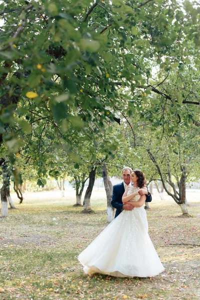 young bride and groom walking in a summer Park with green trees 1 ...