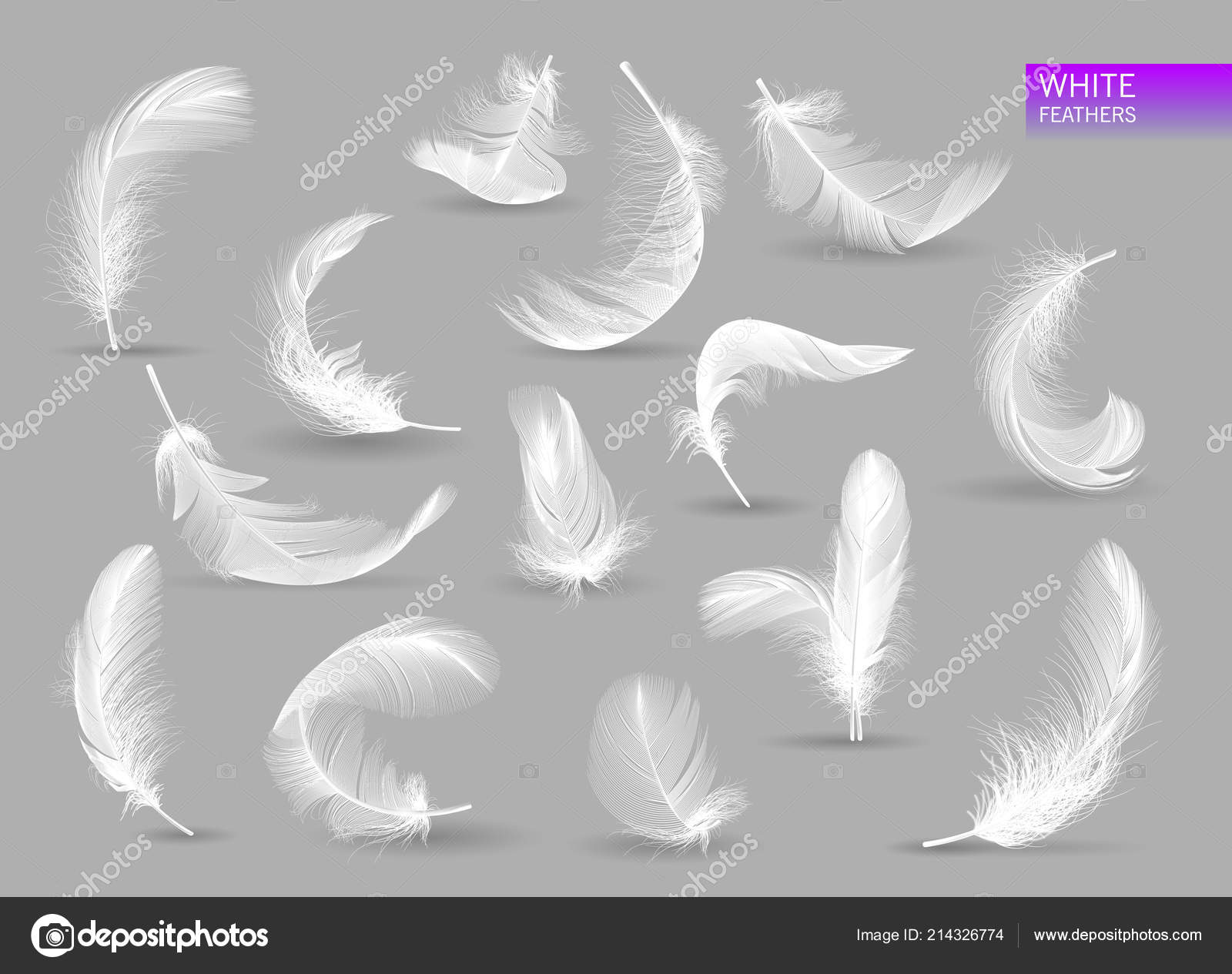 Plumas realistas. Pájaro blanco caída pluma aislada en fondo blanco ...