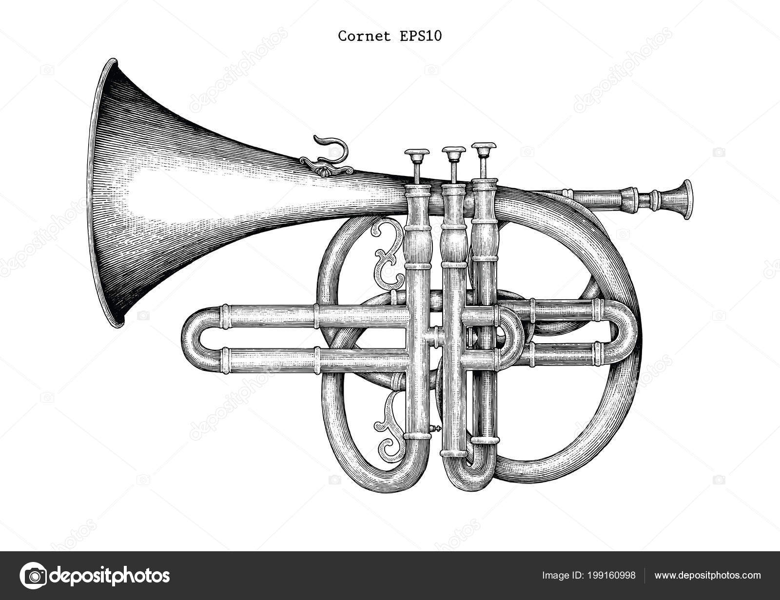 Vintage Cornet Hand Drawing Engraving Illustration Classical Music ...