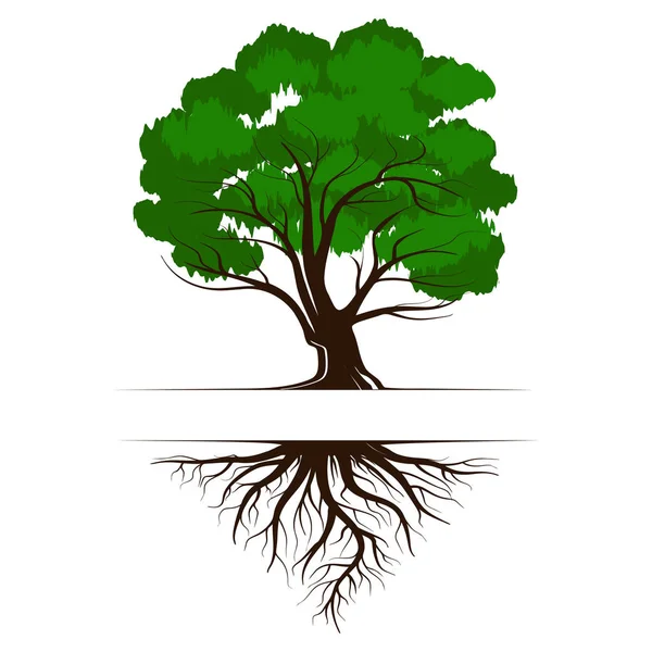 Tree With Roots Clip Art