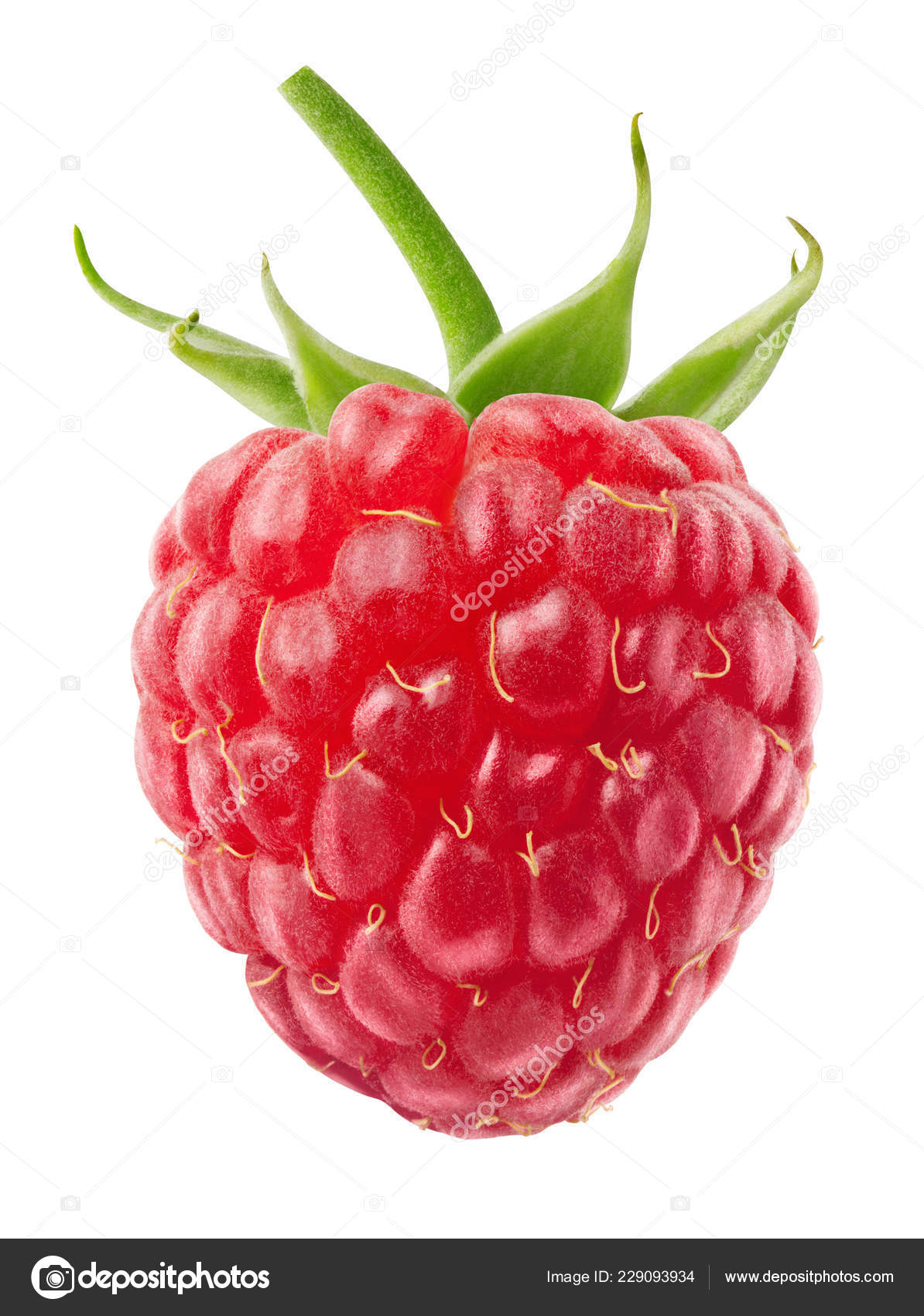 Single Raspberry
