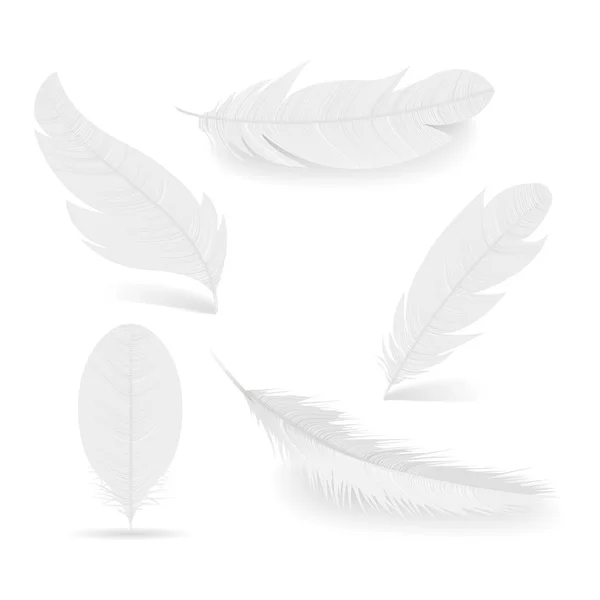 White feather images vectorielles, White feather vecteurs libres de ...