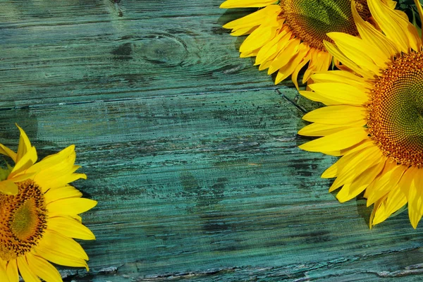Rustic sunflower background Stock Photos, Royalty Free Rustic sunflower ...