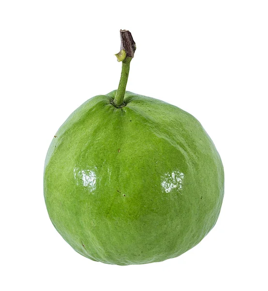 Guaba fotos de stock, imágenes de Guaba sin royalties | Depositphotos