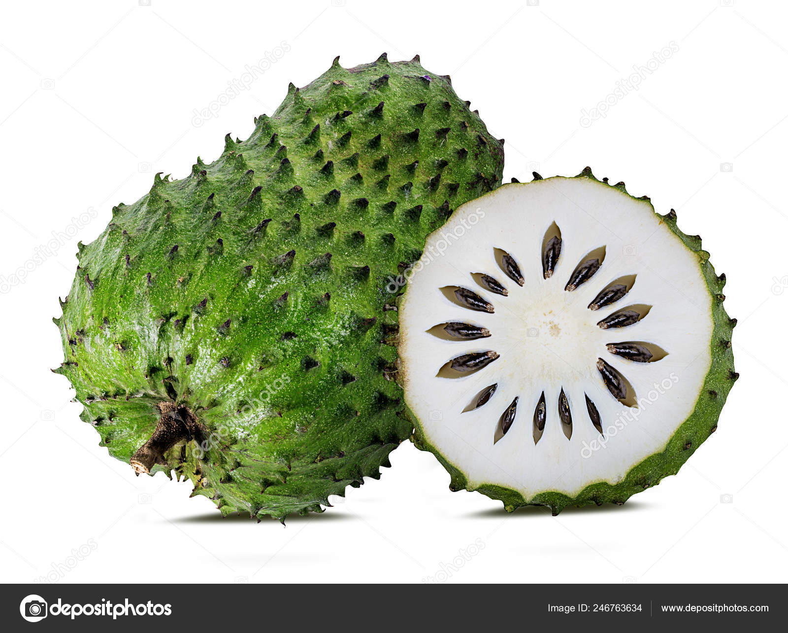 Annona Muricata Oursop Fruit Sugar Apple Ustard Apple Isolated White ...