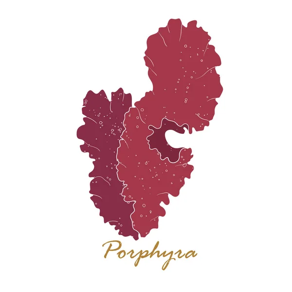 Porphyra, Royalty-free Porphyra Vector Images & Drawings | Depositphotos®