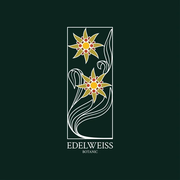 Edelweiss Vector Art Stock Images | Depositphotos