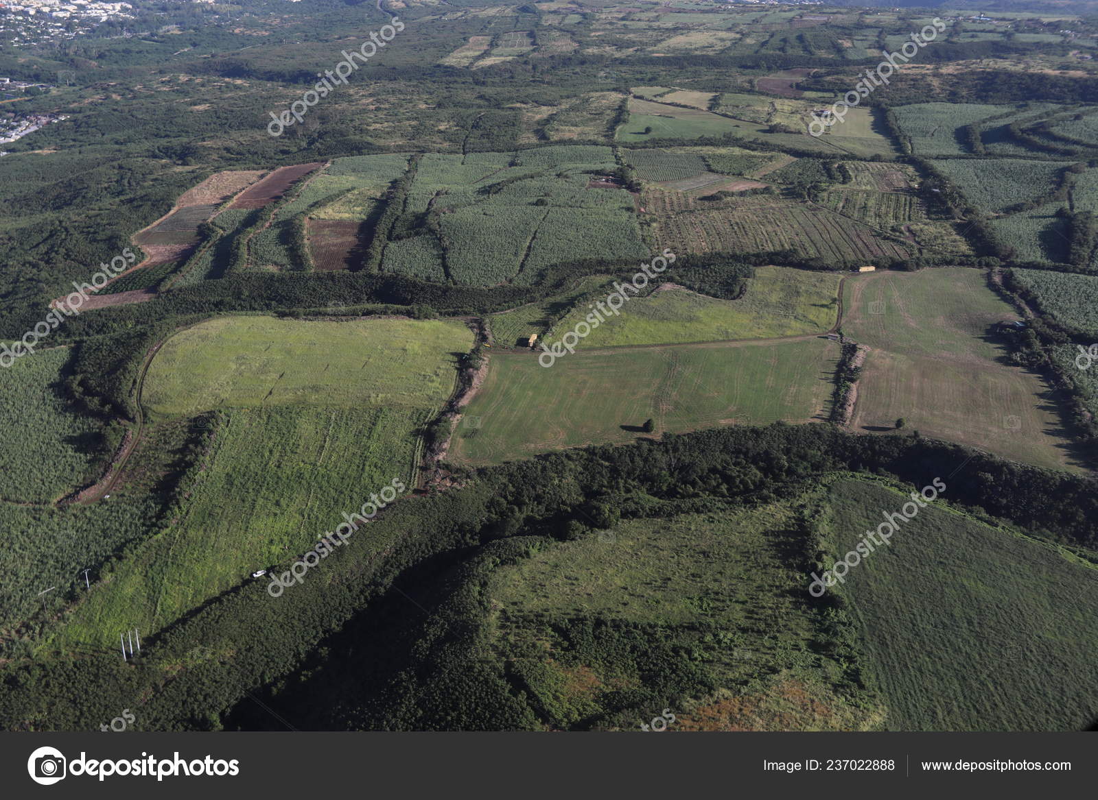 Top view of fields of various sizes and shades of green color Stock ...
