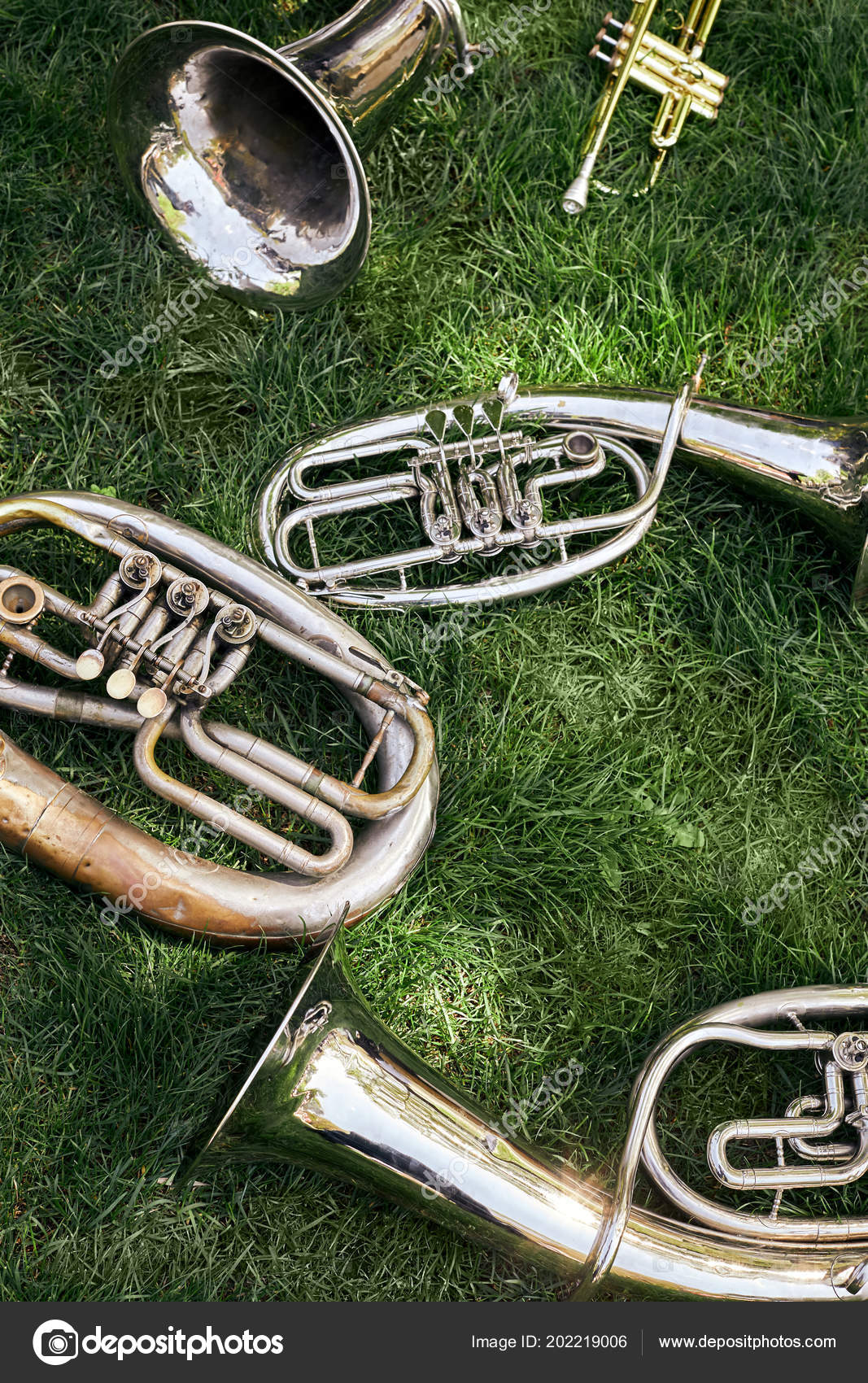 Several Ancient Musical Wind Instruments Lie Green Grass Park Cornet ...