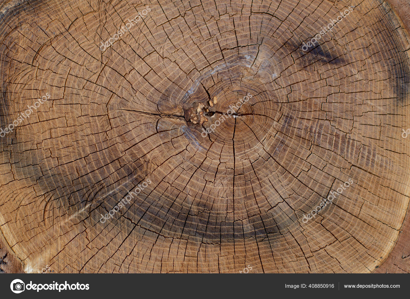 Texture Wood Log Pile Background Timber — Stock Photo © OlgaPonomarenko ...
