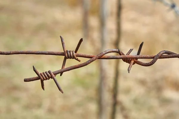 Old rusty barbed wire. Metal barbed wire fence close-up with blurred ...
