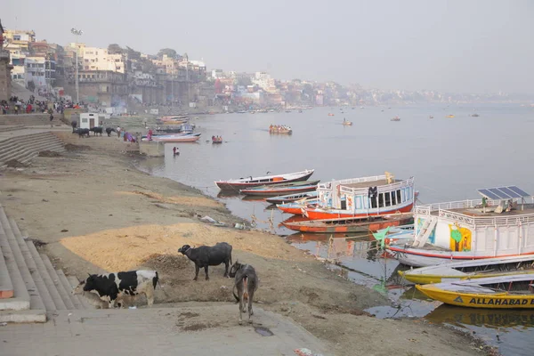 ᐈ Slums stock pictures, Royalty Free mexico city slums images ...