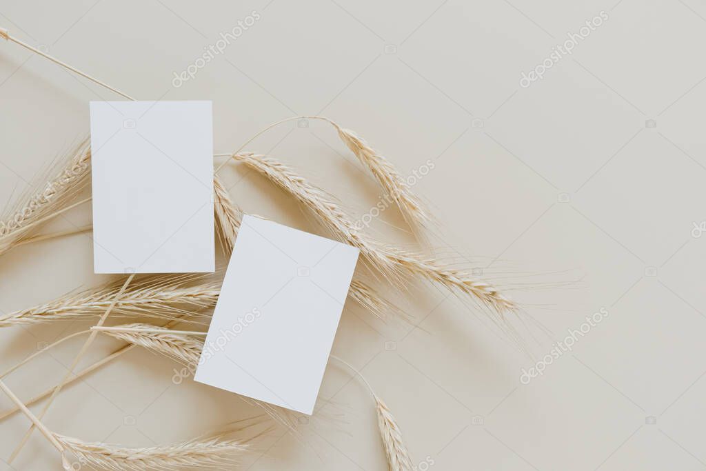 Tarjetas de papel en blanco con espacio de copia maqueta y centeno ...