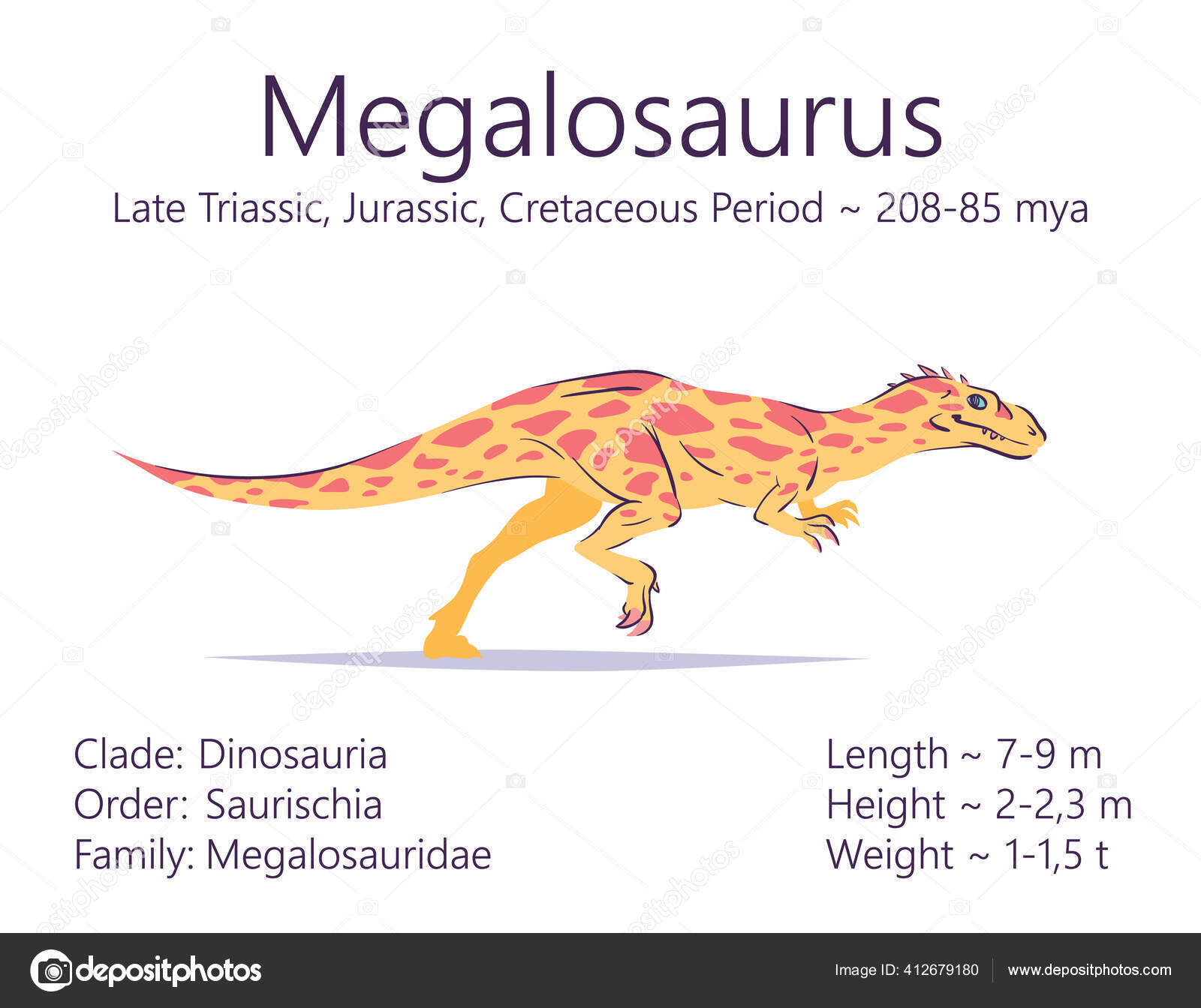 Megalosaurus Skeleton
