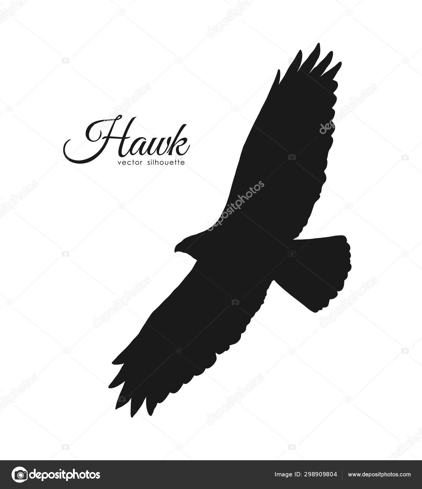 Flying Hawk Vector