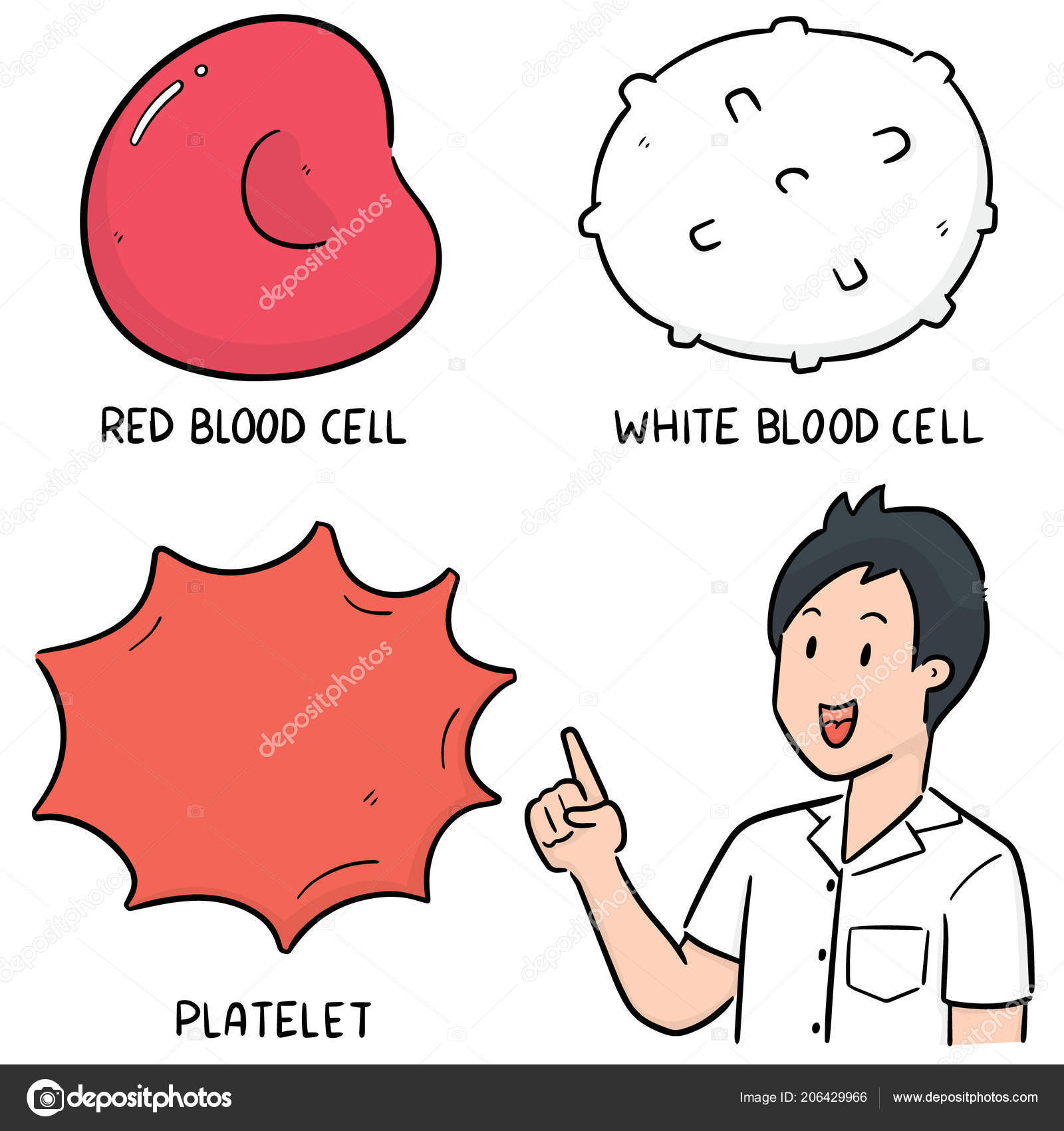 Blood Cell Comic