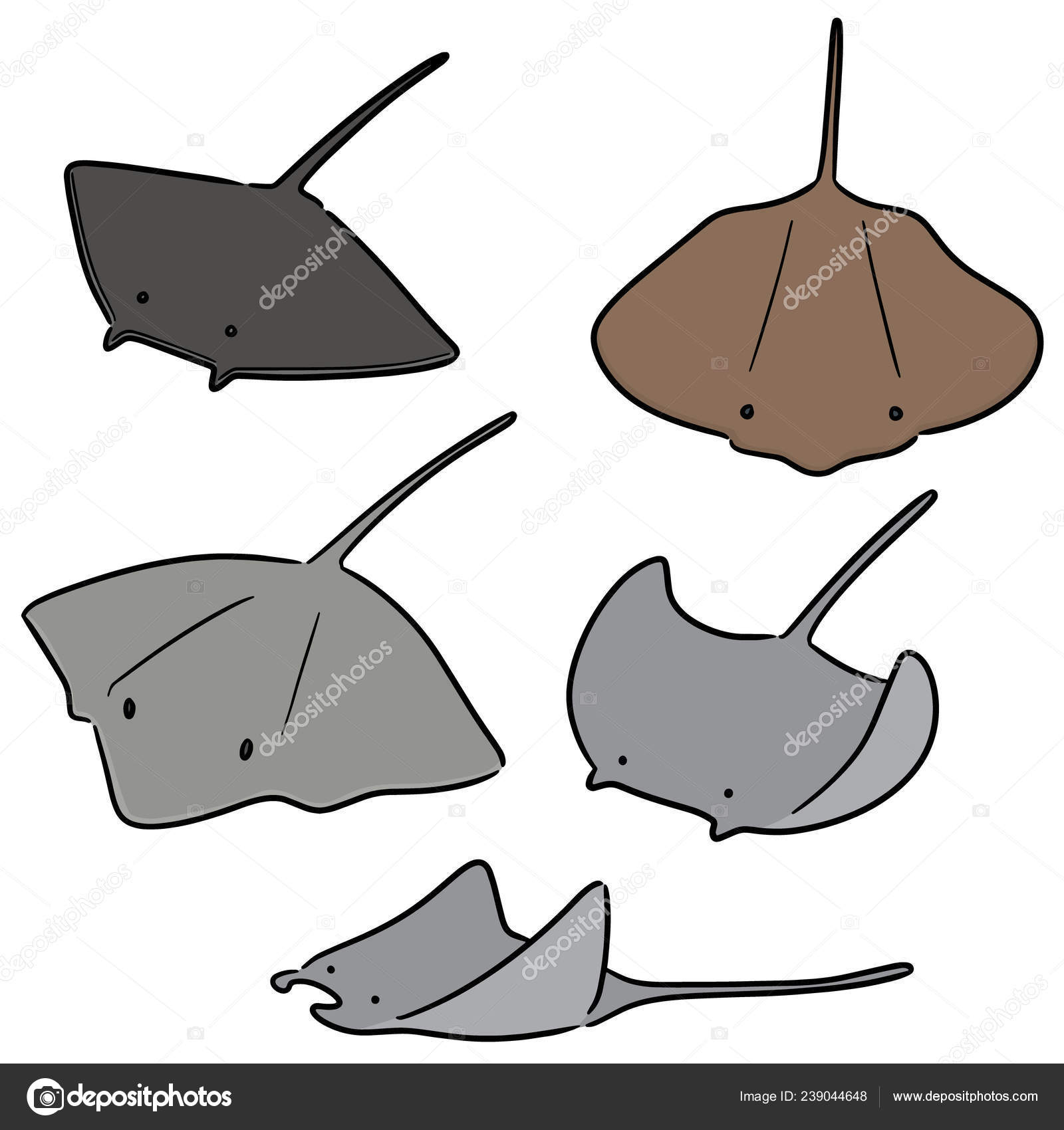 Vector Set Ray Fish Stock Vector Image by ©ourlifelooklikeballoon ...
